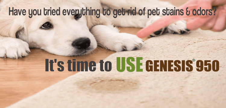 Genesis 950 - Pet Stain Remover, Carpet Cleaning Solution And All ...