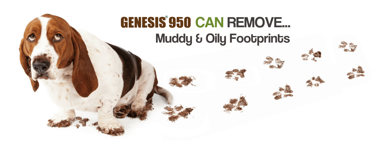 Genesis 950 - Pet Stain Remover, Carpet Cleaning Solution And All ...