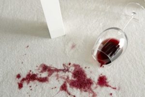 Genesis 950 Concentrate – Genesis 950 Pet Stain Remover, Carpet Cleaner ...