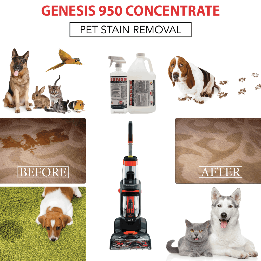 Genesis 950 Concentrate – Genesis 950 Pet Stain Remover, Carpet Cleaner ...